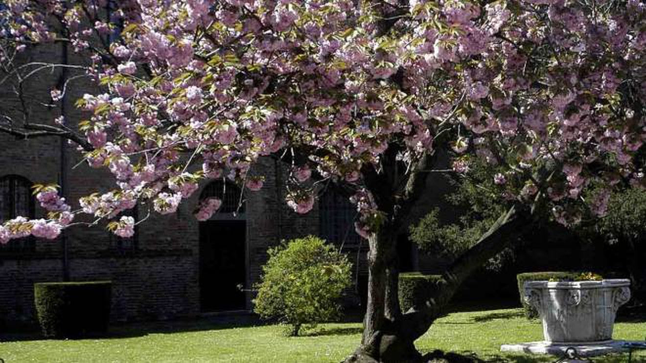 DESIGN ITALY EDITORIAL by Ranieri: Private individuals' push doesn't n ...