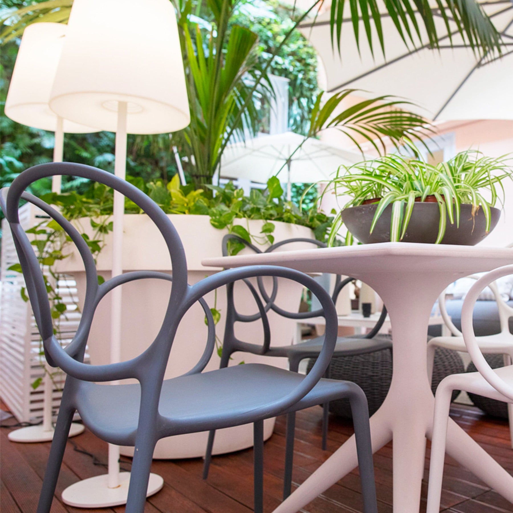 Armchair SISSI Basic by Ludovica + Roberto Palomba for Driade. Shop on ...