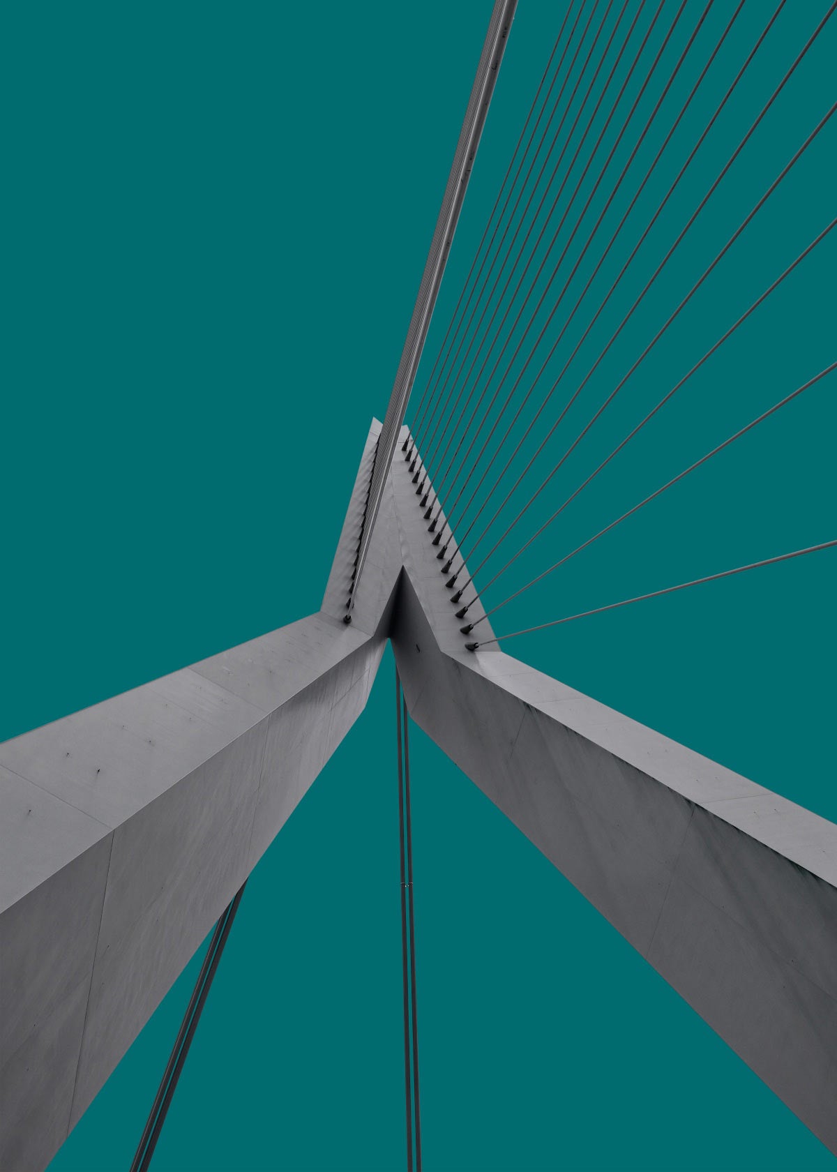 ERASMUSBRUG - Sofia Mangini - 2021 - 100 x 70 - Limitierte Auflage ...