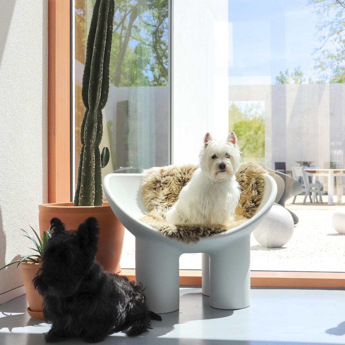 Sessel ROLY POLY von Faye Toogood für Driade. Kaufen Sie auf Design Italy